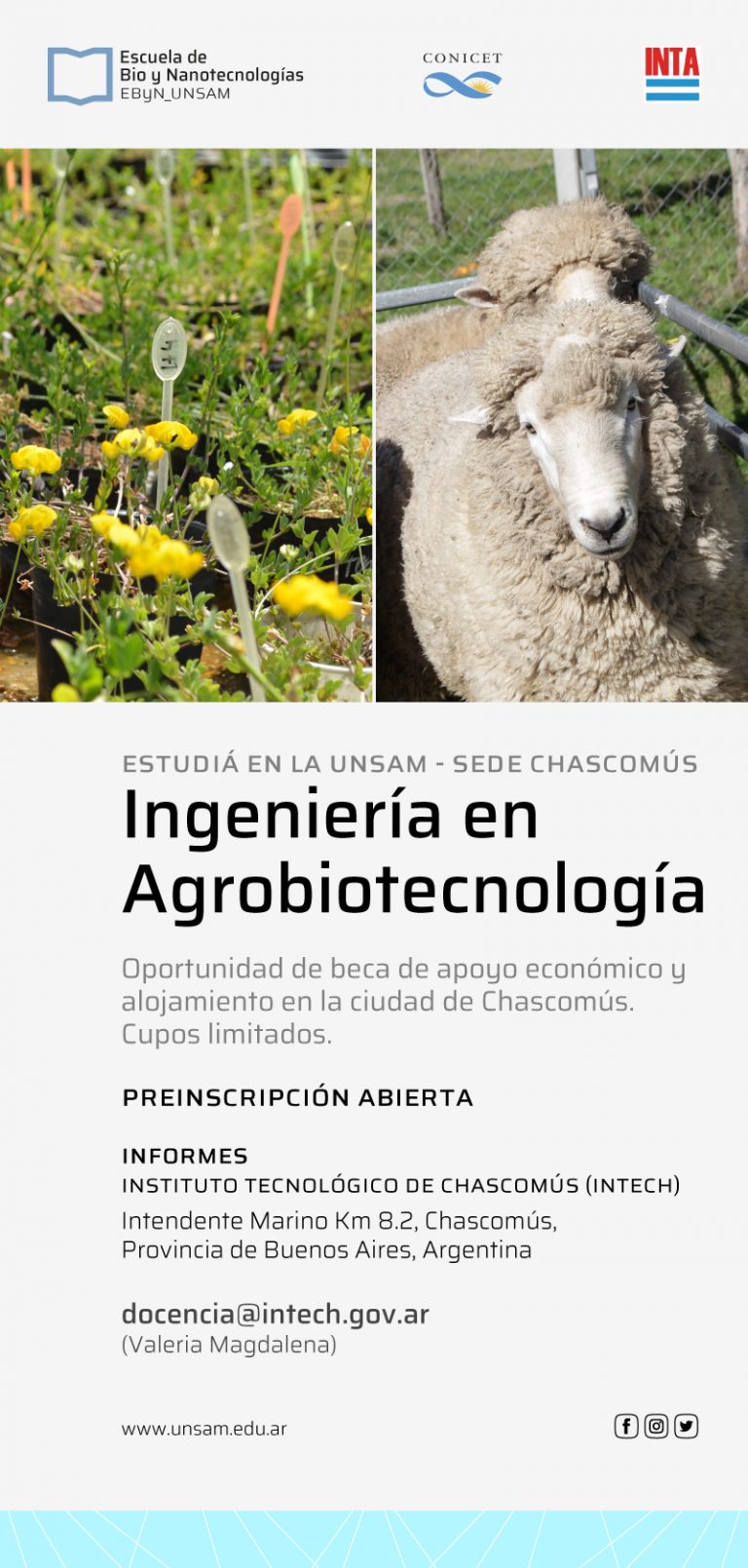 Oferta Académica de la UNSAM en INTECH | INTECH