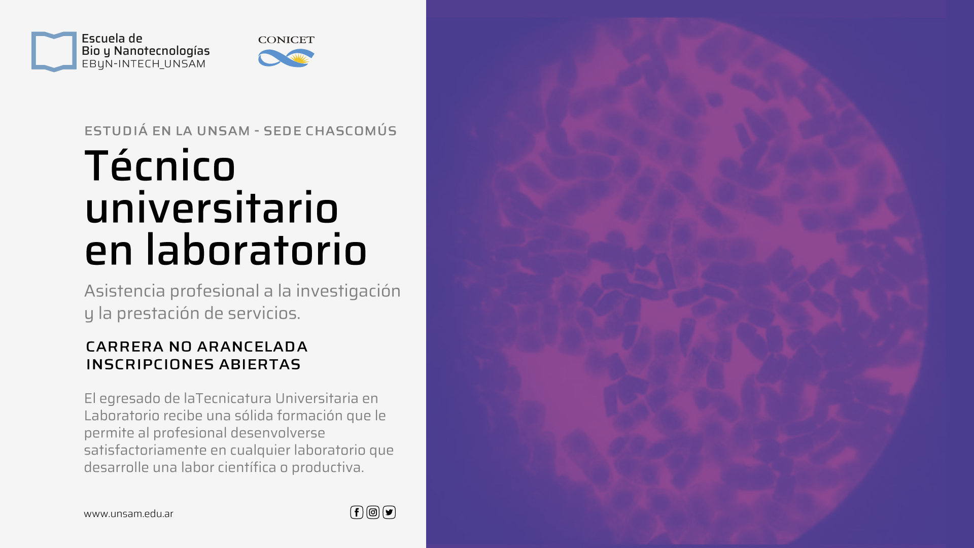 Oferta Académica de la UNSAM en INTECH | INTECH